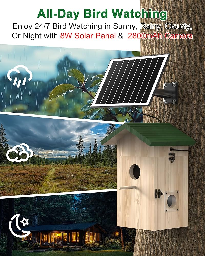 Smart Bird House Camera Solar Powered, 2K HD Wi‑Fi Bird Watching Cam ...