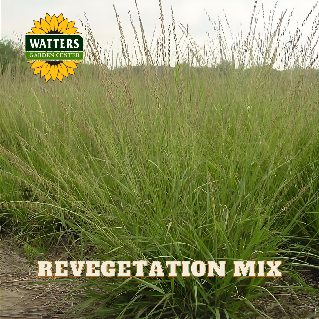 NATIVE REVEGETATION GRASS SEED – Watters Garden Center