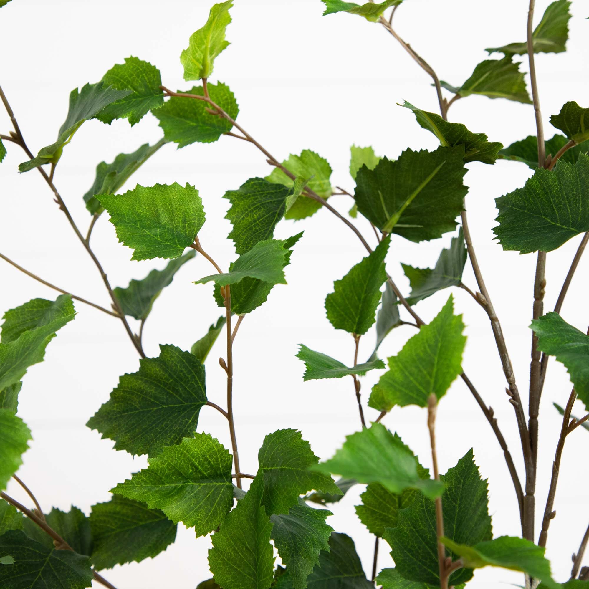 4’ Artificial Birch Tree – Watters Garden Center