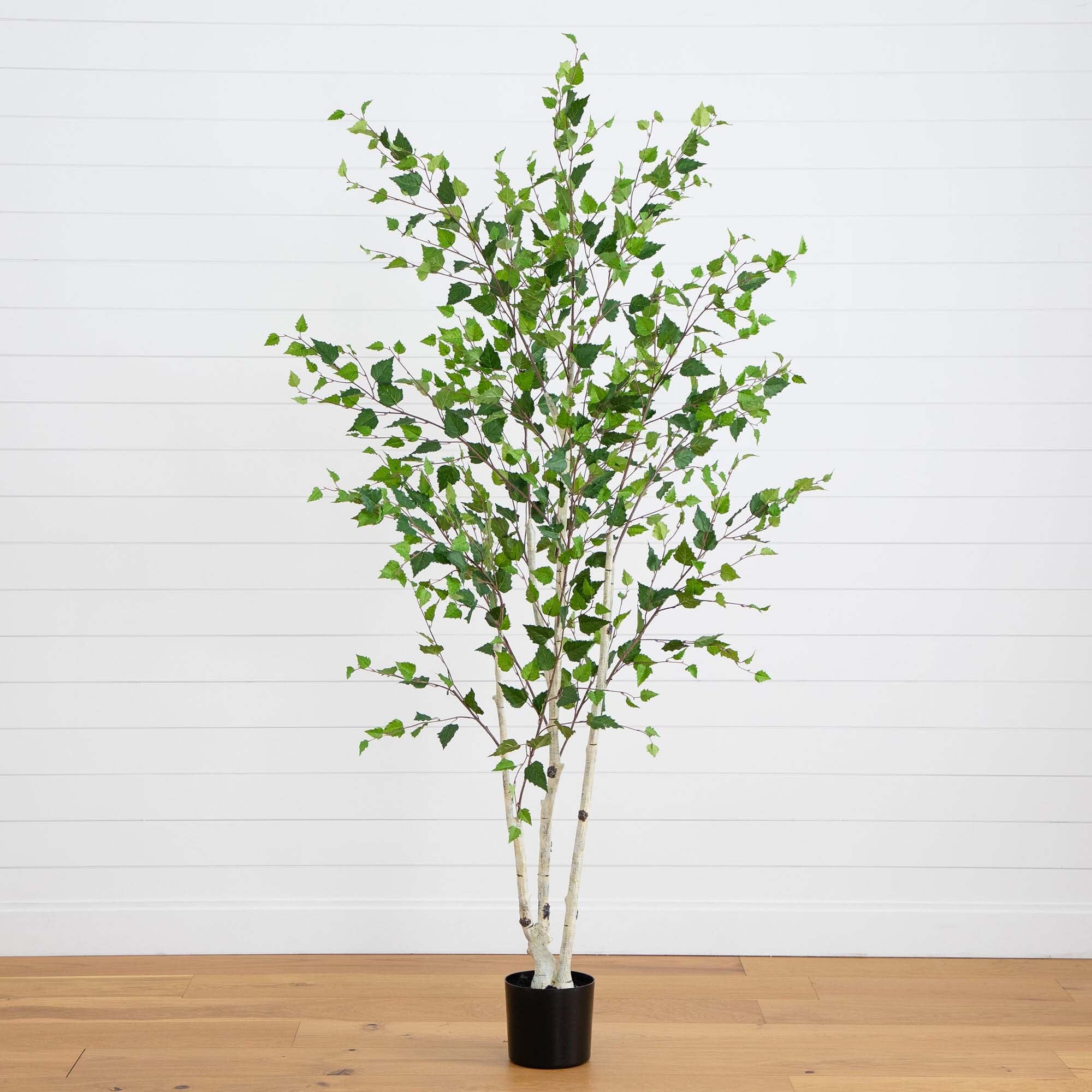 7’ Artificial Birch Tree with Real Touch Leaves – Watters Garden Center