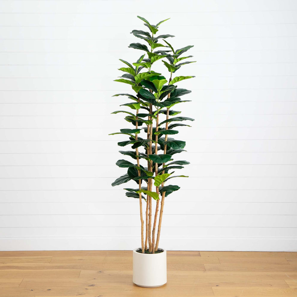 7’ Artificial Fiddle Leaf Tree in Decorative White Planter – Watters ...