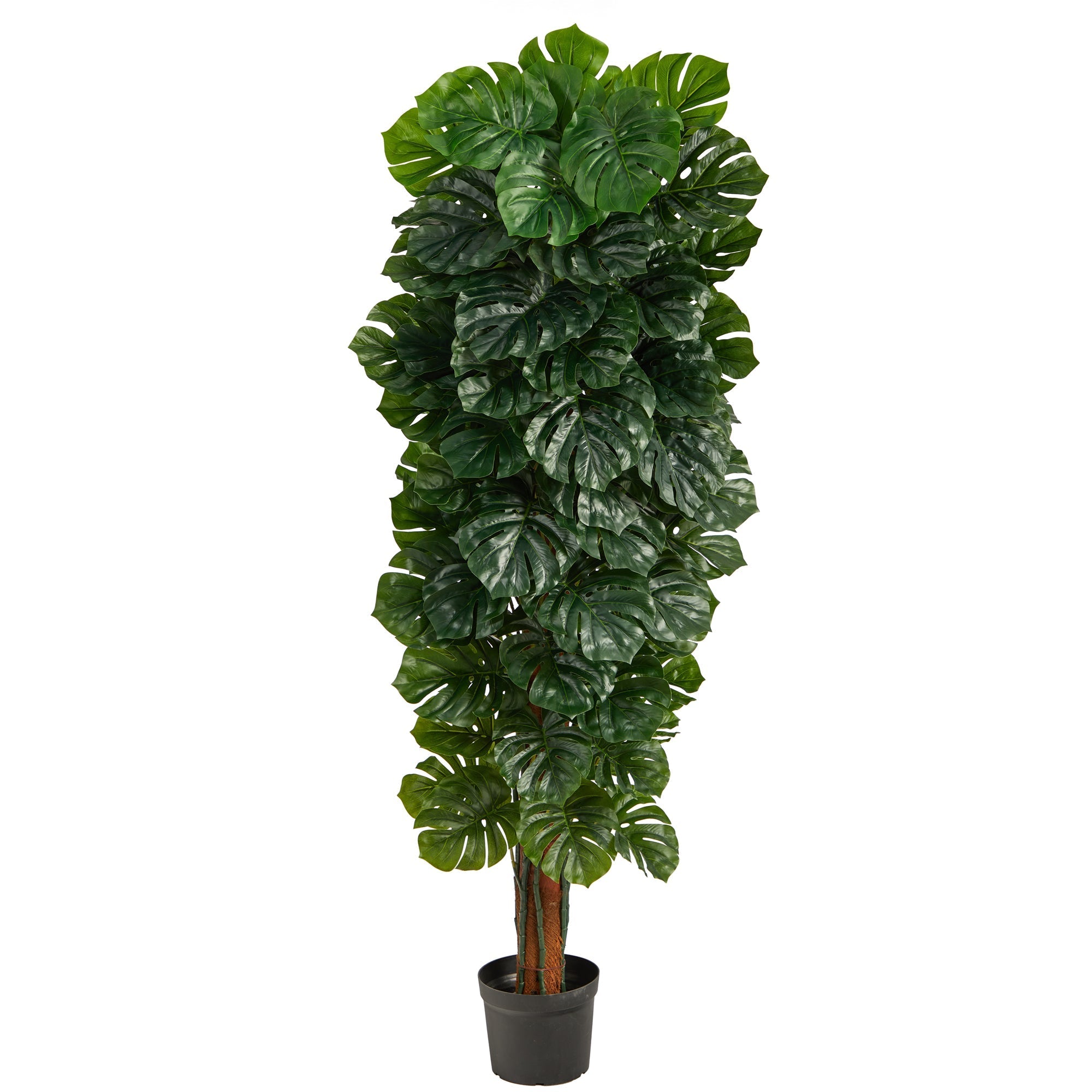 70” Monstera Artificial Tree (Indoor/Outdoor) – Watters Garden Center