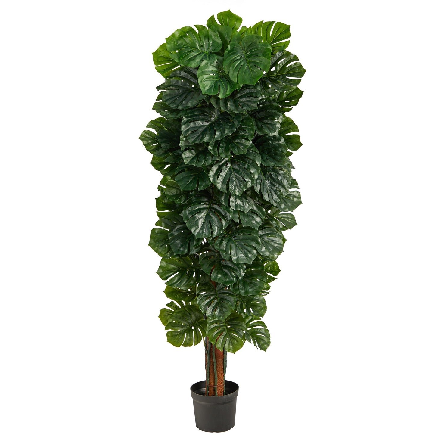 70” Monstera Artificial Tree (Indoor/Outdoor) – Watters Garden Center